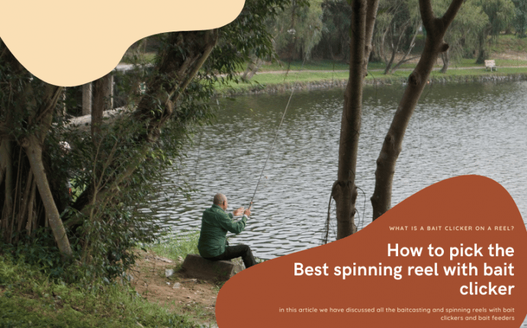 Top 10 Best Spinning Reel with Bait Clicker (Buyer's Guide)