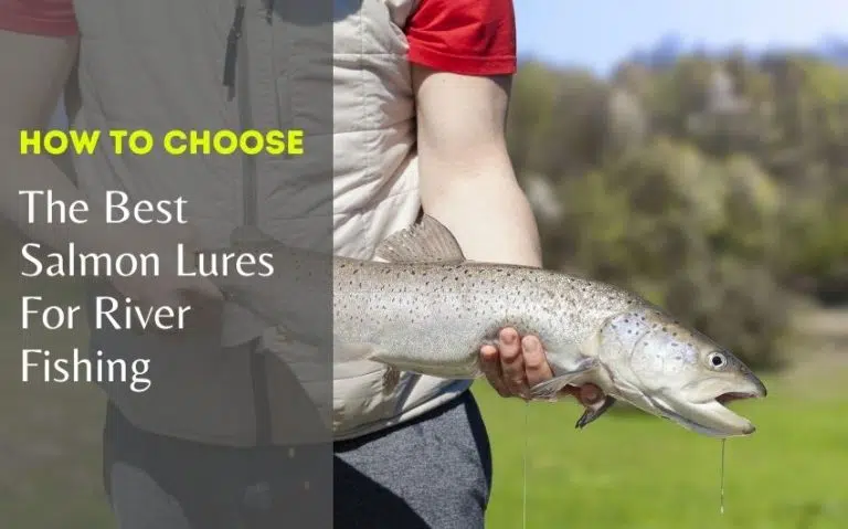 Top 15 Best Salmon Lures for Rivers (The Ultimate Guide)