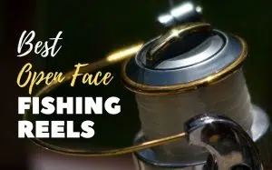 10 Best Open Face Fishing Reels (Incl. AFFORDABLE Models!)