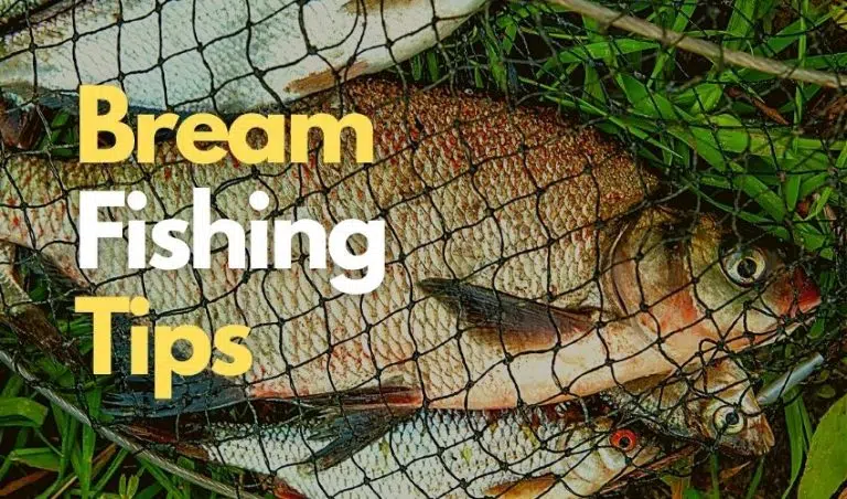 Bream Fishing Lure Hacks That Work: (Catch More Fish, Fast!)