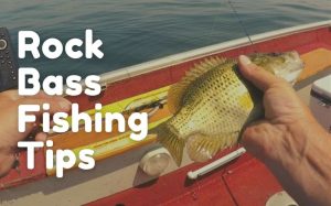 Rock Bass Fishing Tips - ًWhat Every Angler (Should-Know!)