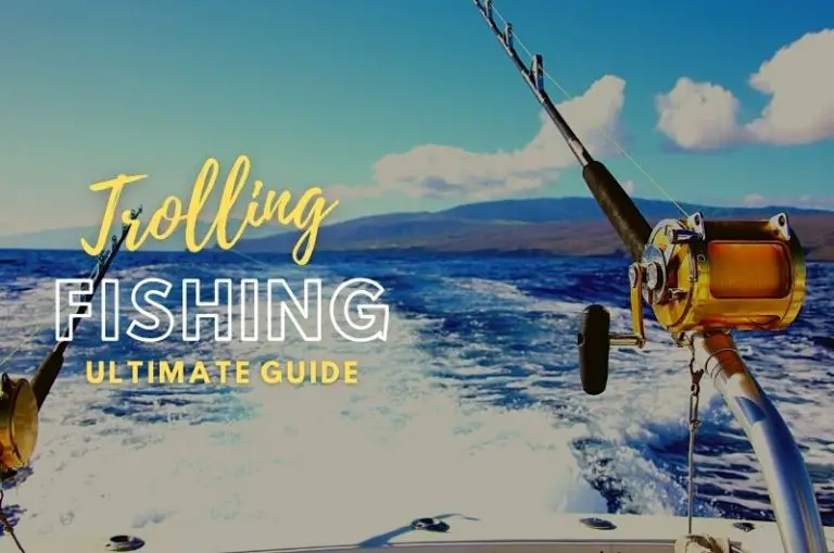 Ultimate guide to trolling fishing (19 Facts You Should Know)