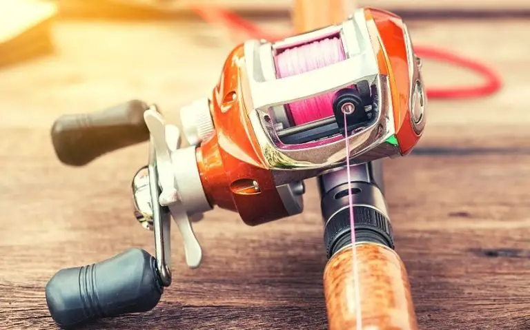 10 Best Anti Backlash Baitcast Reel (Reviews & top picks)