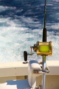 Ultimate guide to trolling fishing (19 Facts You Should Know)