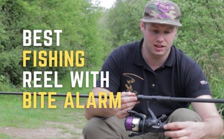 Best Reel with Built-in Bite Alarm (2022 Buyer's Guide)