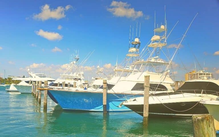 Best Time for Tuna Fishing in New Jersey (Nj Charters Guide)