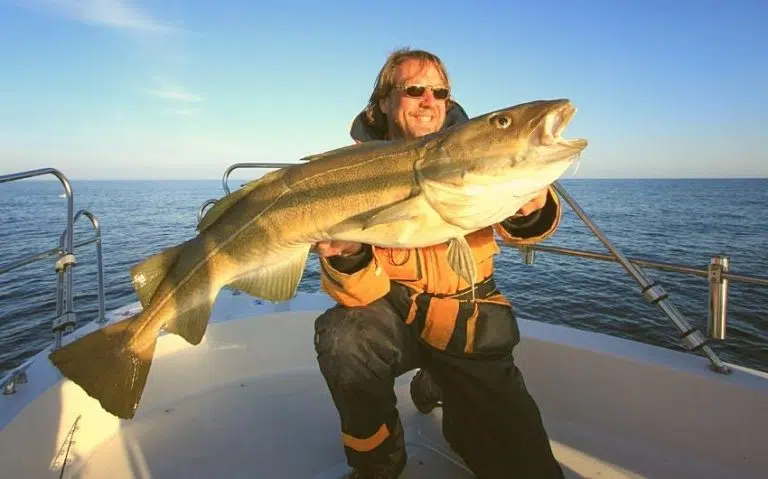 Does Cod Fish Have Scales and Fins? Myths & Facts (Revealed)