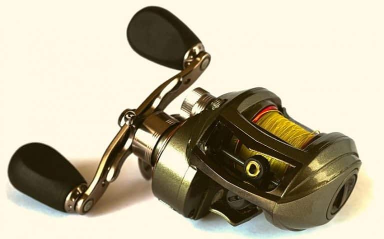 Top 15 Best Reels for Catfishing (Incl. Affordable Models!)