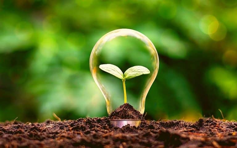 How Can You Show Respect for Natural Resources? (Explained)