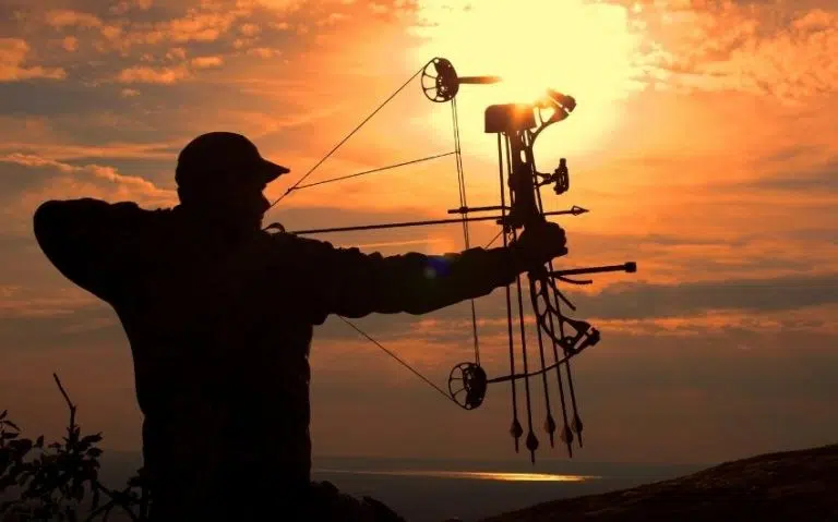 What Game Would You Hunt with a Blunt Arrow? (Beginner Guide)