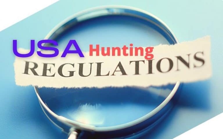What Group Sets Hunting Regulations in Most States? (Guide)