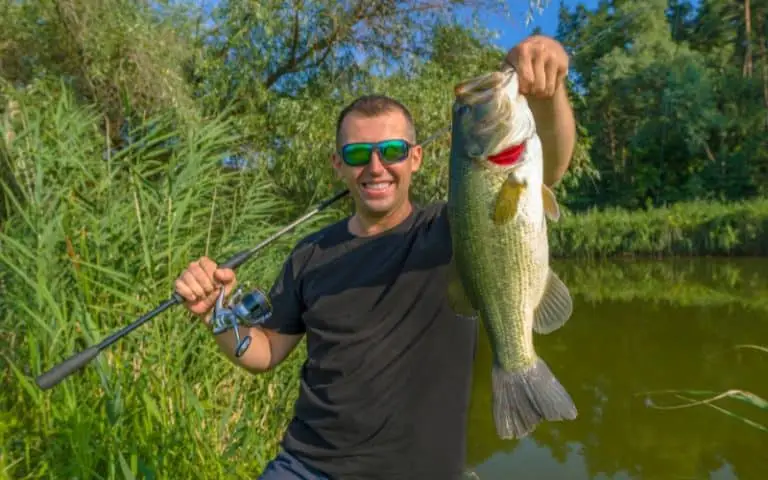 Best Bass Fishing Rod For Beginners (Transform Your Game)