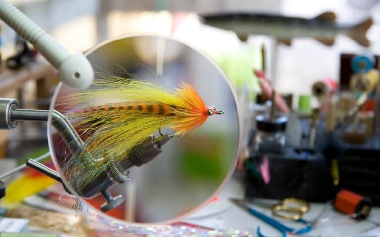 10 Best Fly Tying Patterns for Trout: A Step-By-Step (Guide)