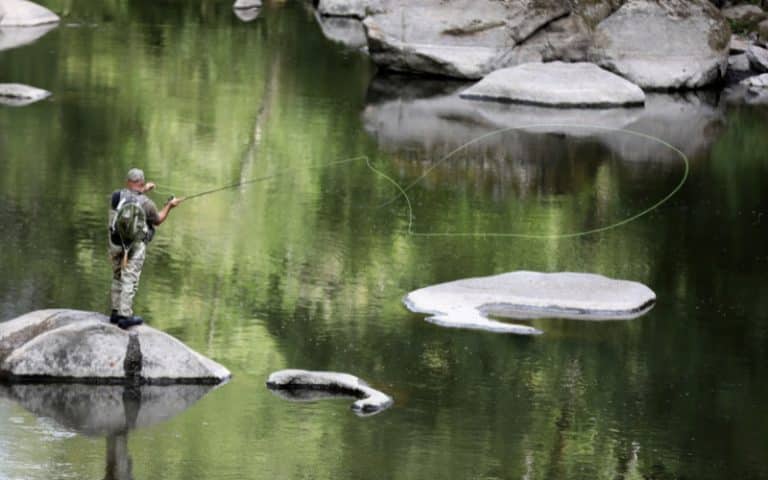 Fly Fishing Vs Regular Fishing: The Ultimate Showdown!
