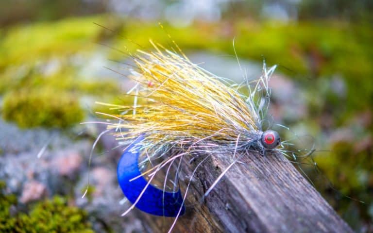 What Is a Streamer in Fly Fishing: (All You Need to Know)